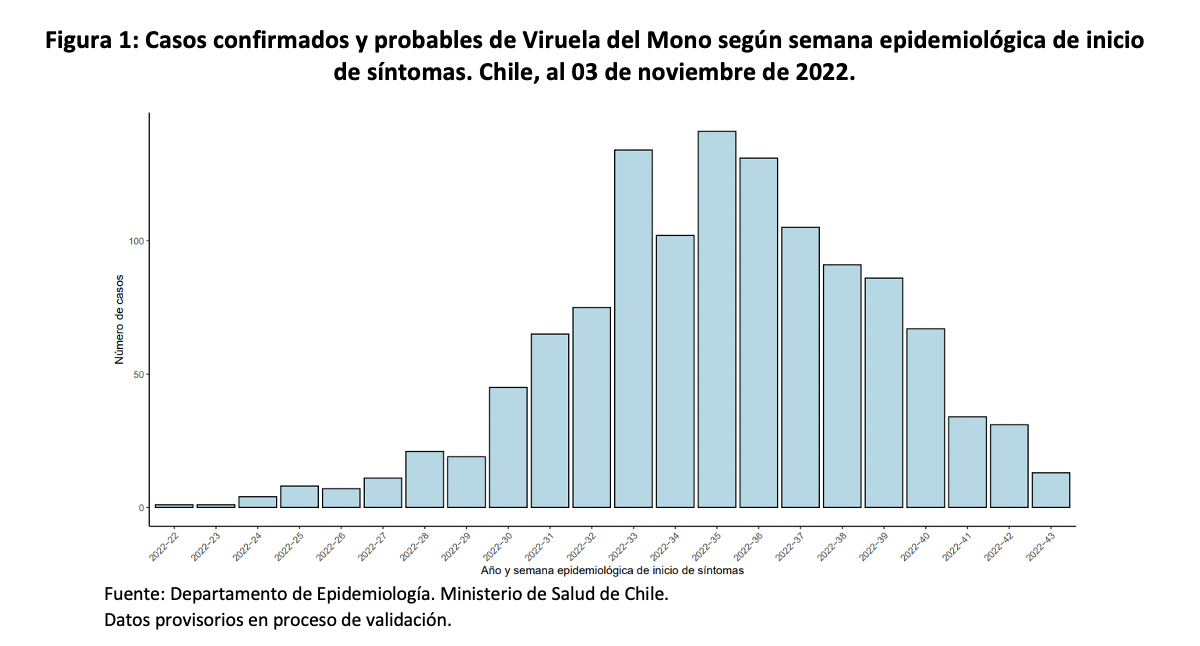 Minsal confirmó primera muerte por viruela del mono en Chile - INTT